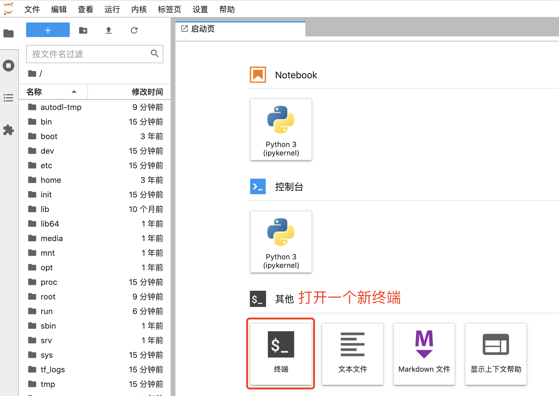 Autodl帮助文档